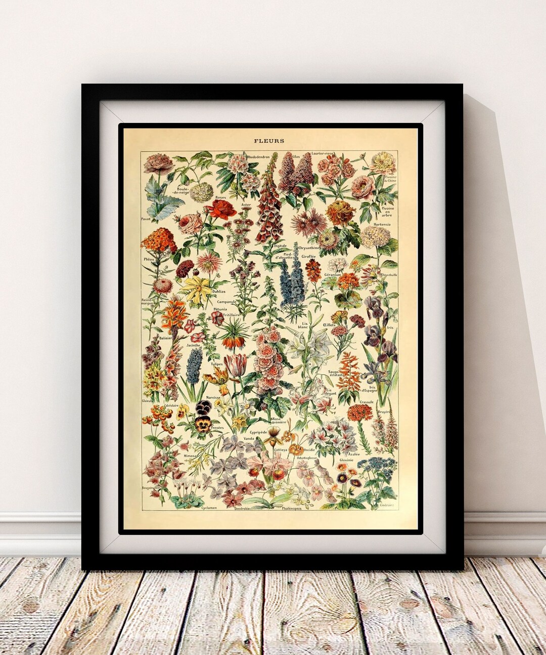 Vintage Flowers Chart Poster Print Diagram Art Home Decor Wall Art ...