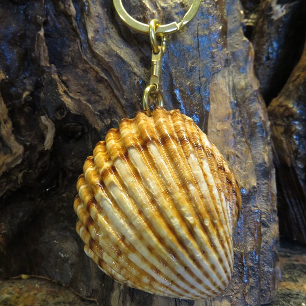 Sea Shell Keychain - Etsy