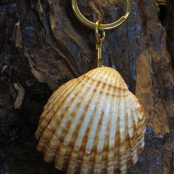 Sea Shell Keychain - Etsy