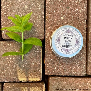 Insect Balm All Natural Bug Balm Insect Salve Natural Family Pet Safe ...