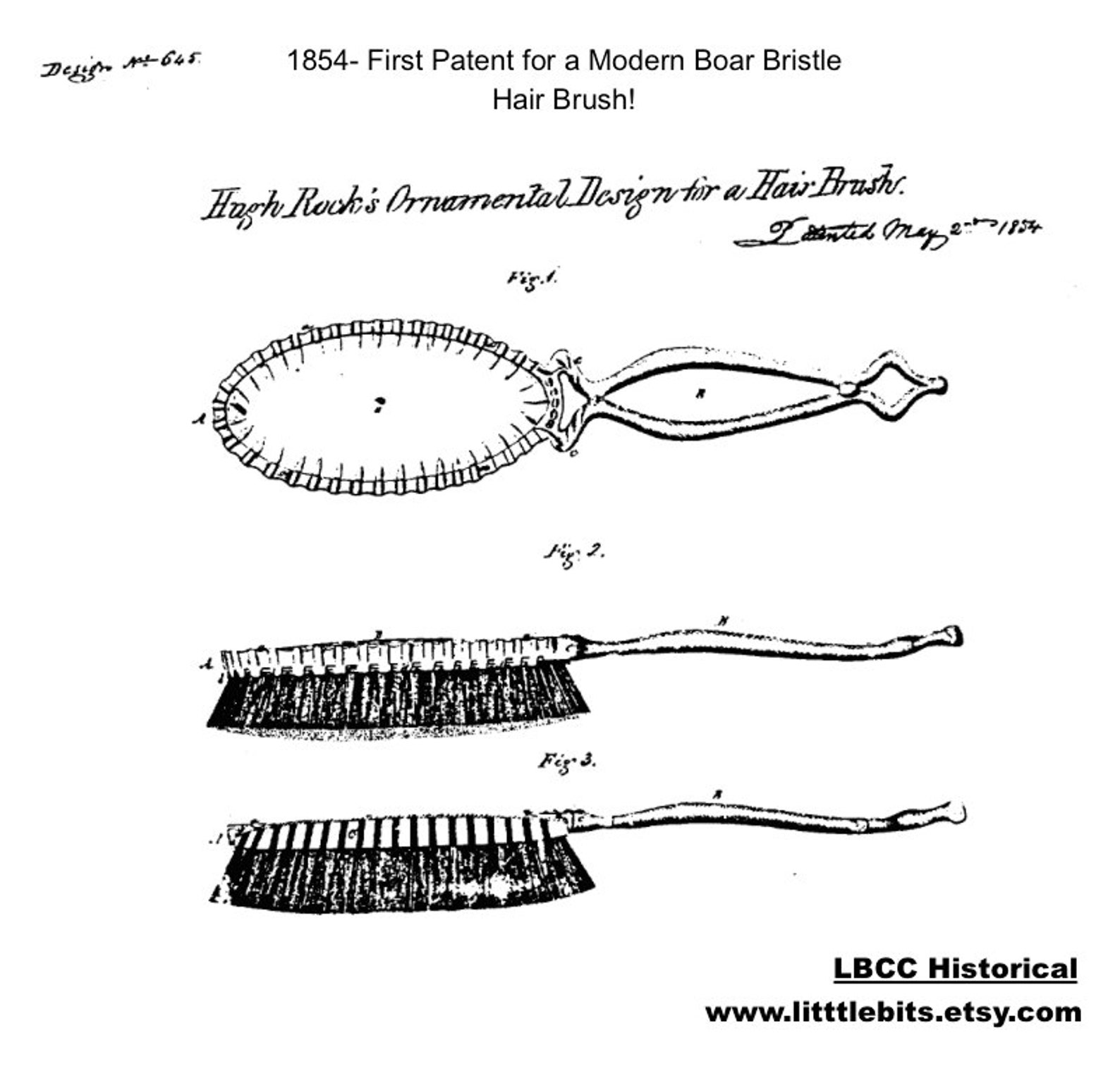 19th-20th Century Medium-hard Boar Bristle Hair Brush - Etsy