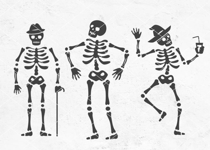 Skeleton Set SVG, PNG, EPS, Dxf - Etsy