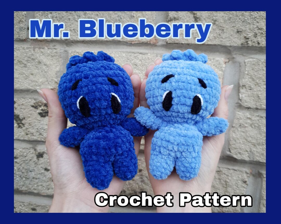Mr. Blueberry Crochet Pattern, Blueberry Plushie, Food Amigurumi ...