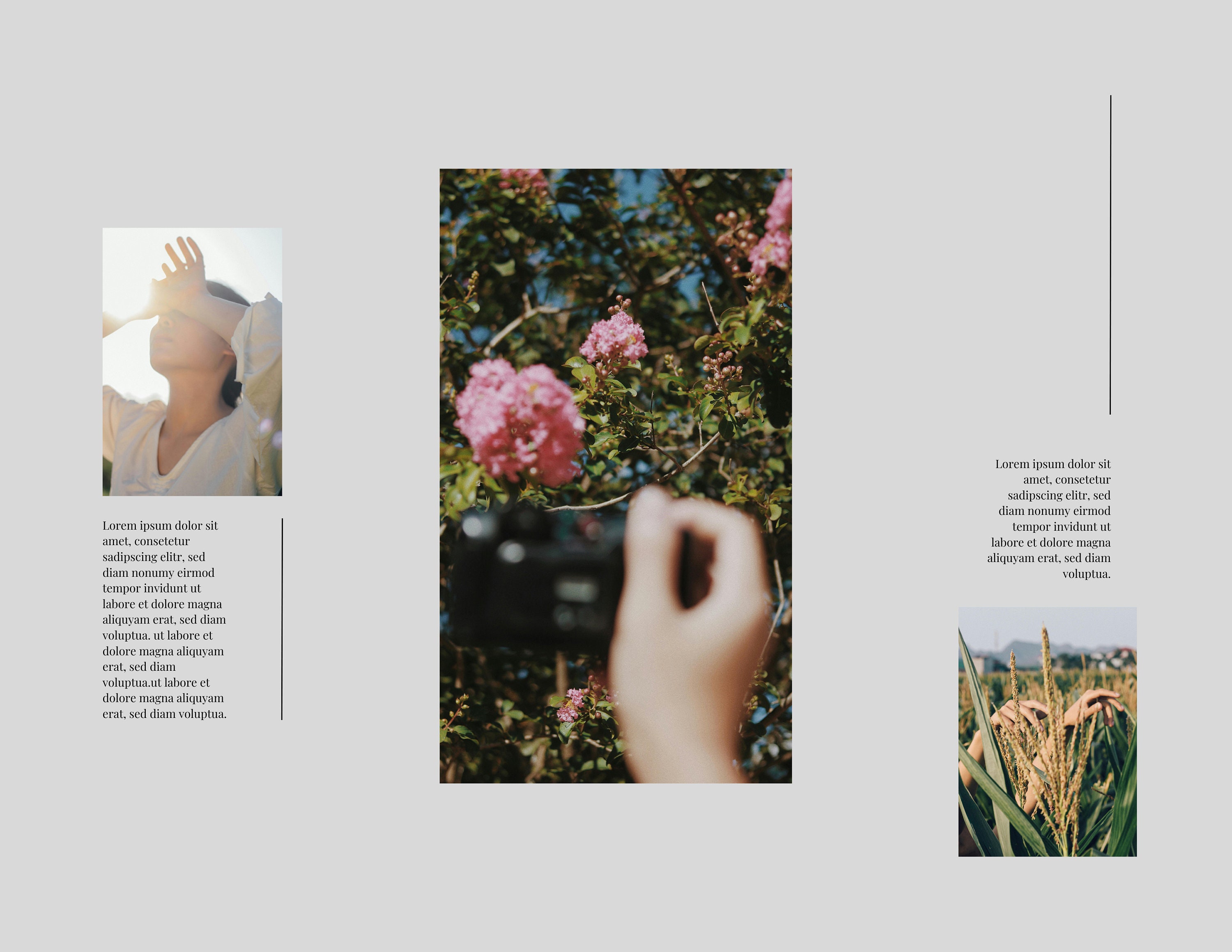 Photography Portfolio Template / Canva / Photo Catalogue - Etsy