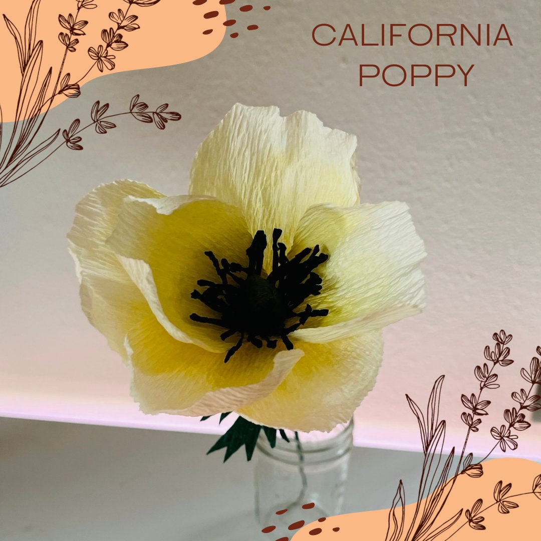 Crepe Paper California Poppy-cream - Etsy