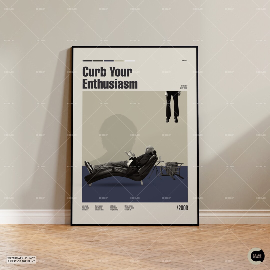 Curb Your Enthusiasm, Retro Movie Poster, Midcentury Modern, Retro Tv ...