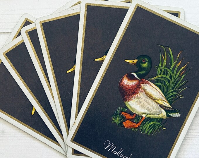 Vintage Duck Playing Cards - Set of 6 - Vintage Cards, Vintage Duck ...