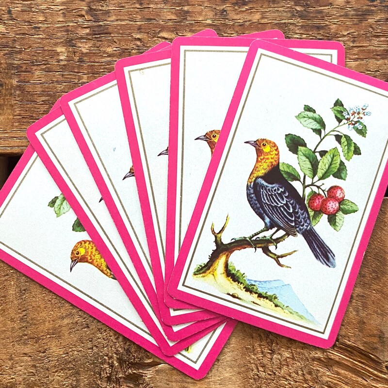 Vintage Bird Cards - Etsy