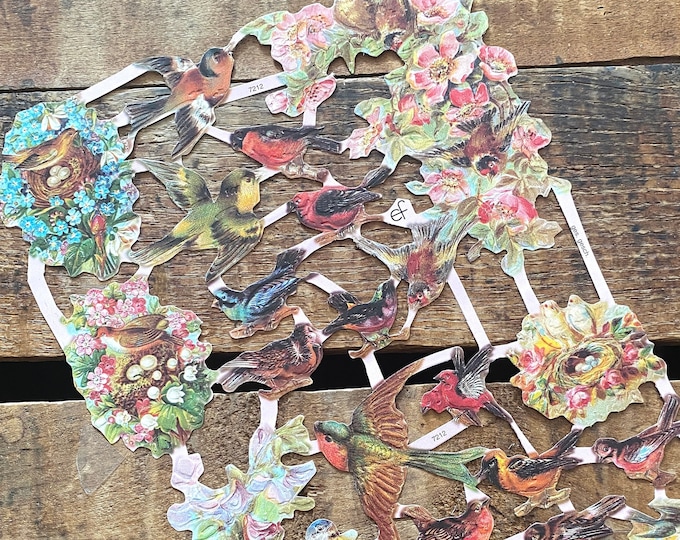 Vintage Style German Scrap Die Cuts: Birds and Flowers Ephemera - Etsy