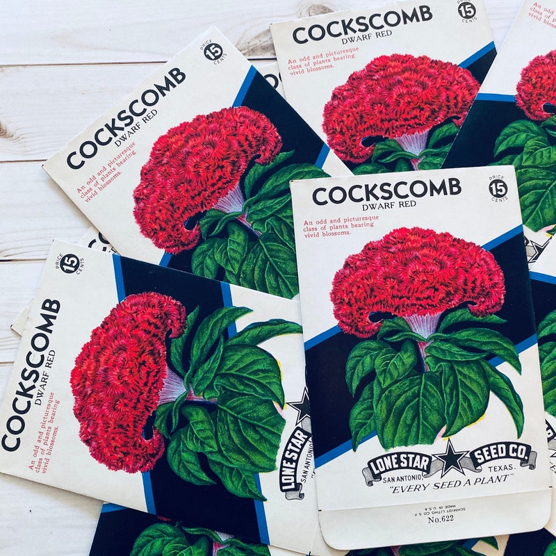 Cockscomb Seeds - Etsy