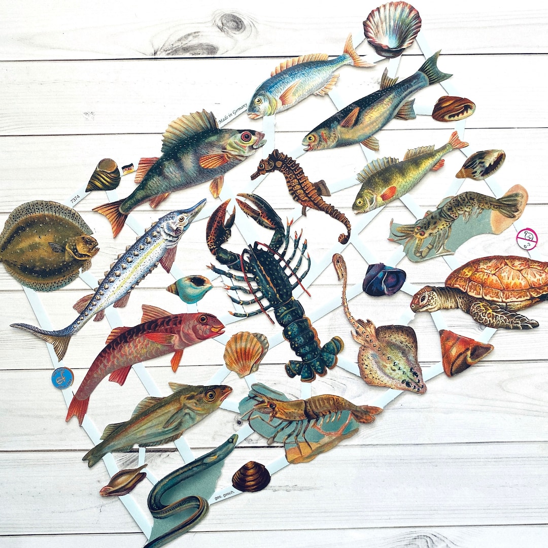 German Scraps - Fish, Shells - Die Cuts, Cut Outs, Reproduction ...