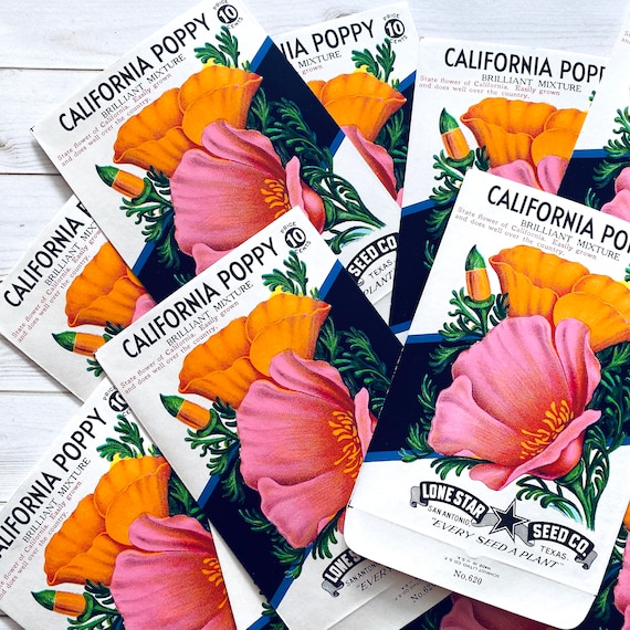 Vintage Flower Seed Packets EMPTY California Poppy Set of - Etsy