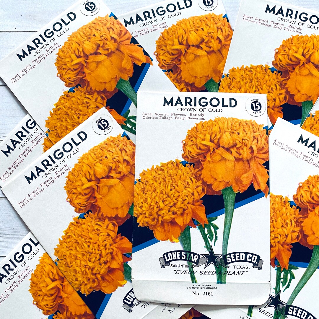 Vintage Flower Seed Packets EMPTY - Marigold - Set of 4 - Vintage ...