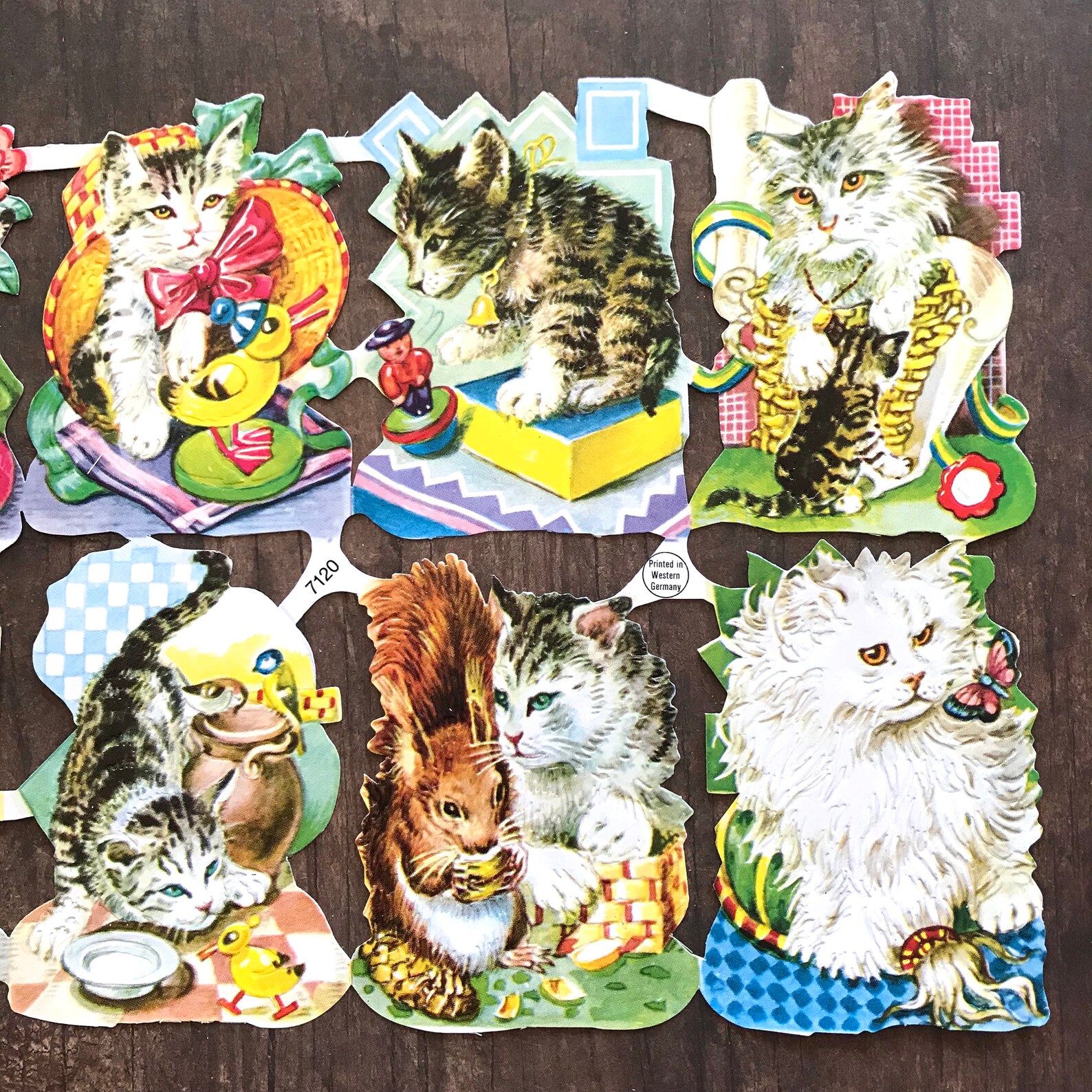 German Scraps Cats Kittens Die Cuts Cut Outs | Etsy