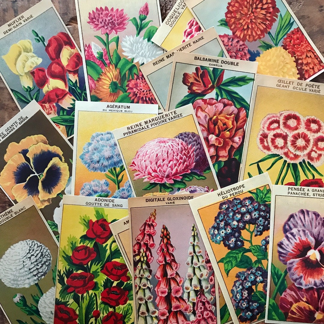 Vintage French Flower Labels Random Set of 10 Vintage | Etsy