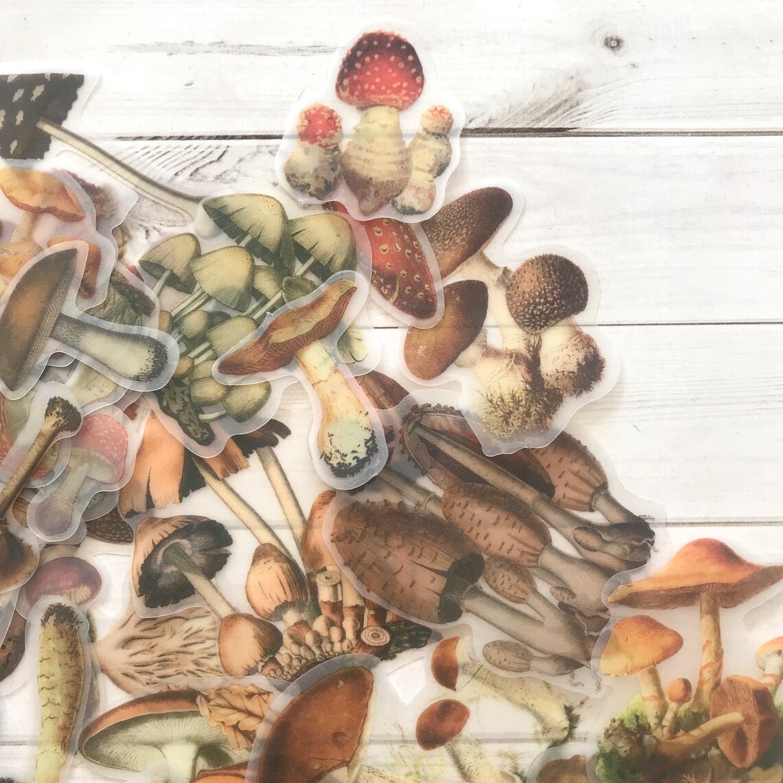 Mushroom Stickers Set of 30 Nature Stickers Junk Journal | Etsy