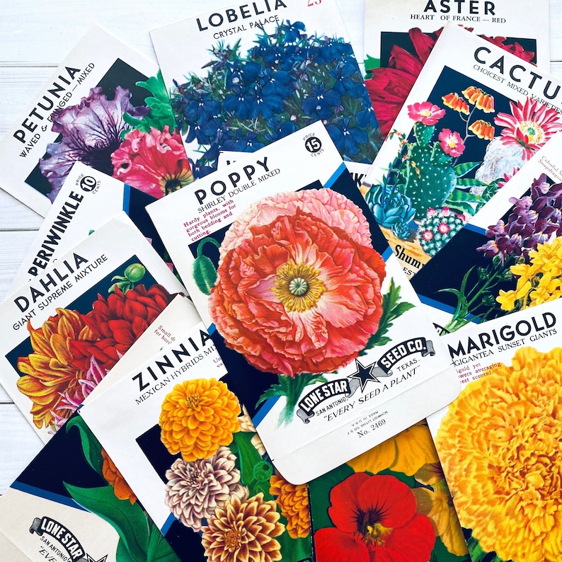 Vintage Flower Seed Packets EMPTY Random Set of 5 Vintage - Etsy