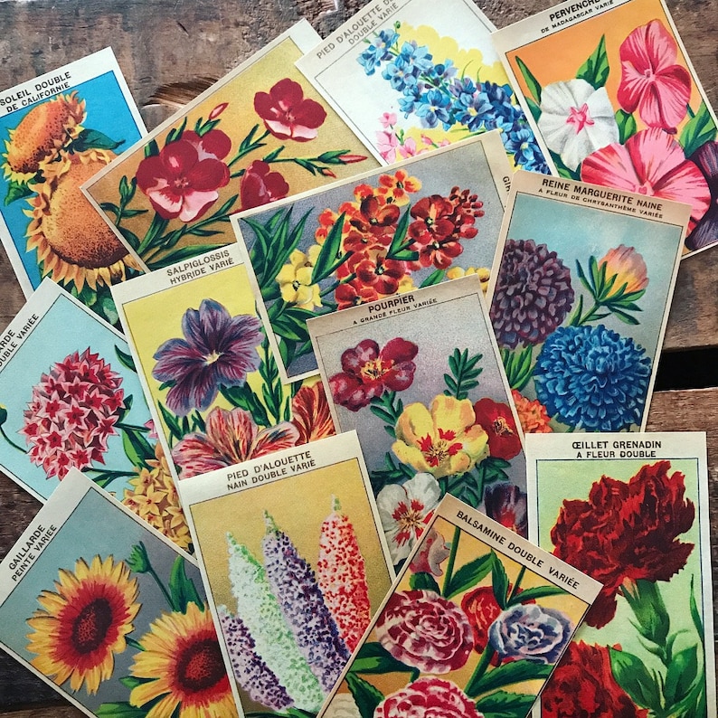 Vintage French Flower Labels Random Set of 10 Vintage | Etsy