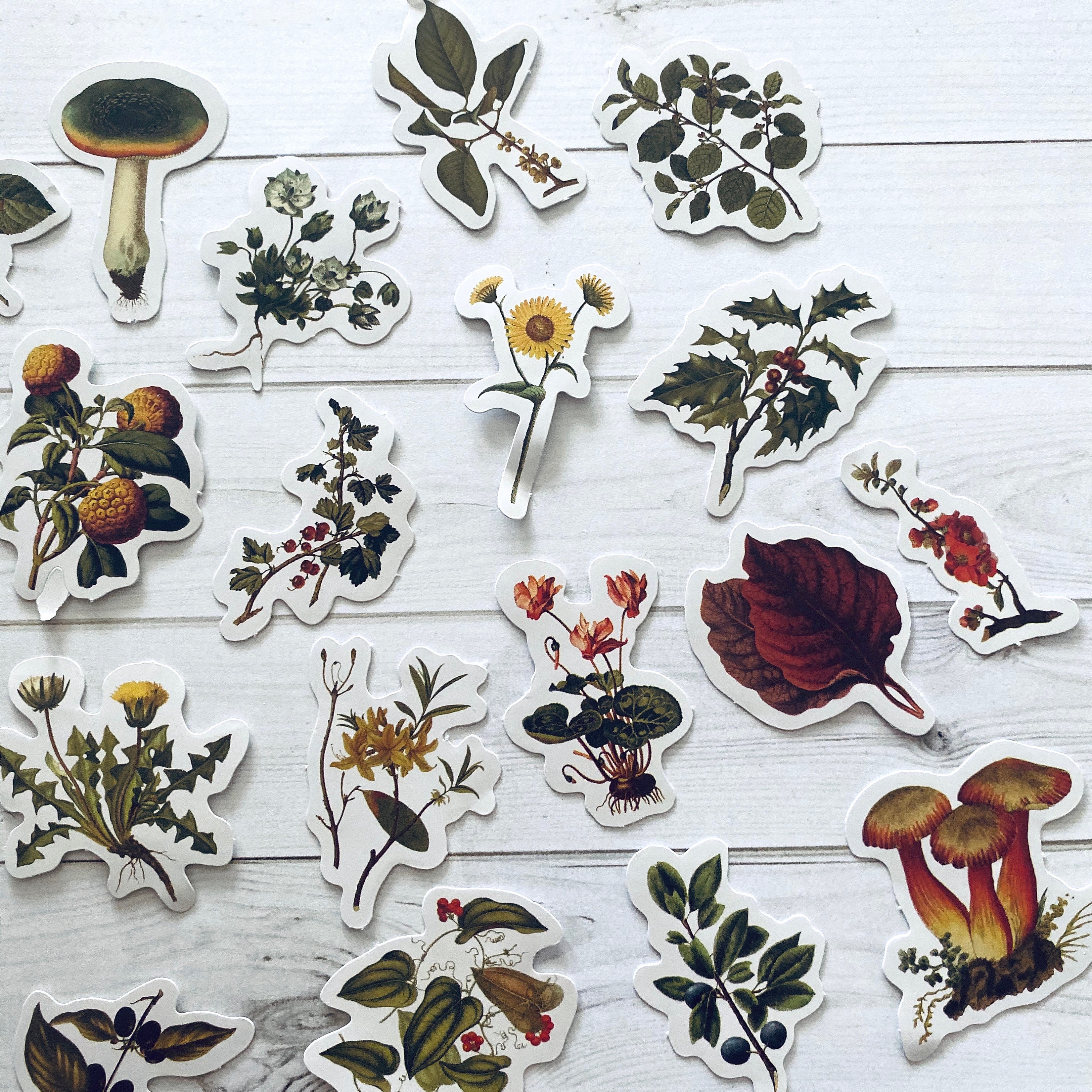 Nature Stickers Set of 46 Plant Stickers Junk Journal | Etsy