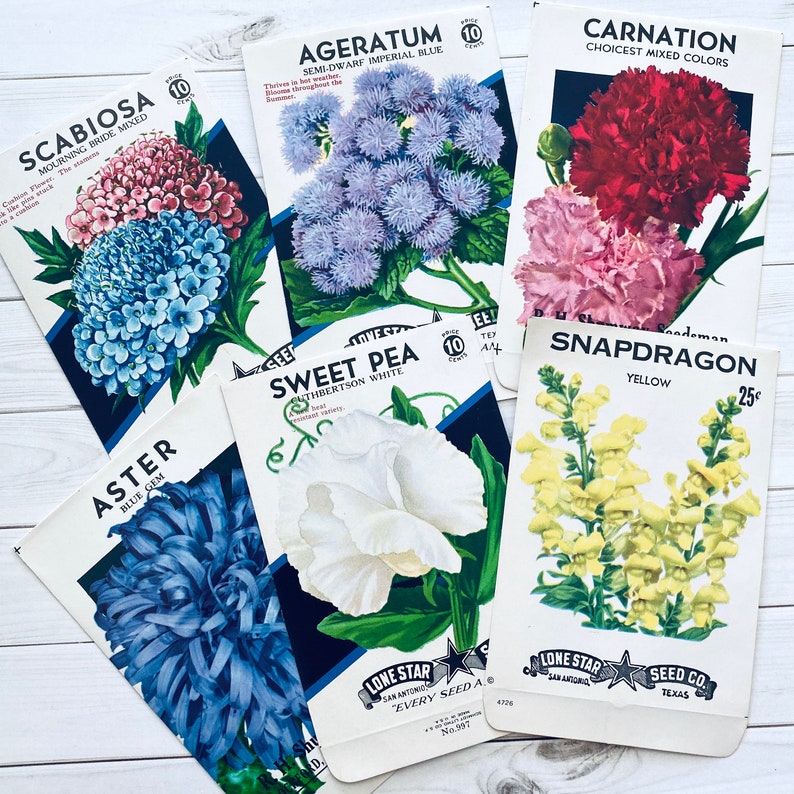 Vintage Flower Seed Packets EMPTY Random Set of 5 Vintage - Etsy
