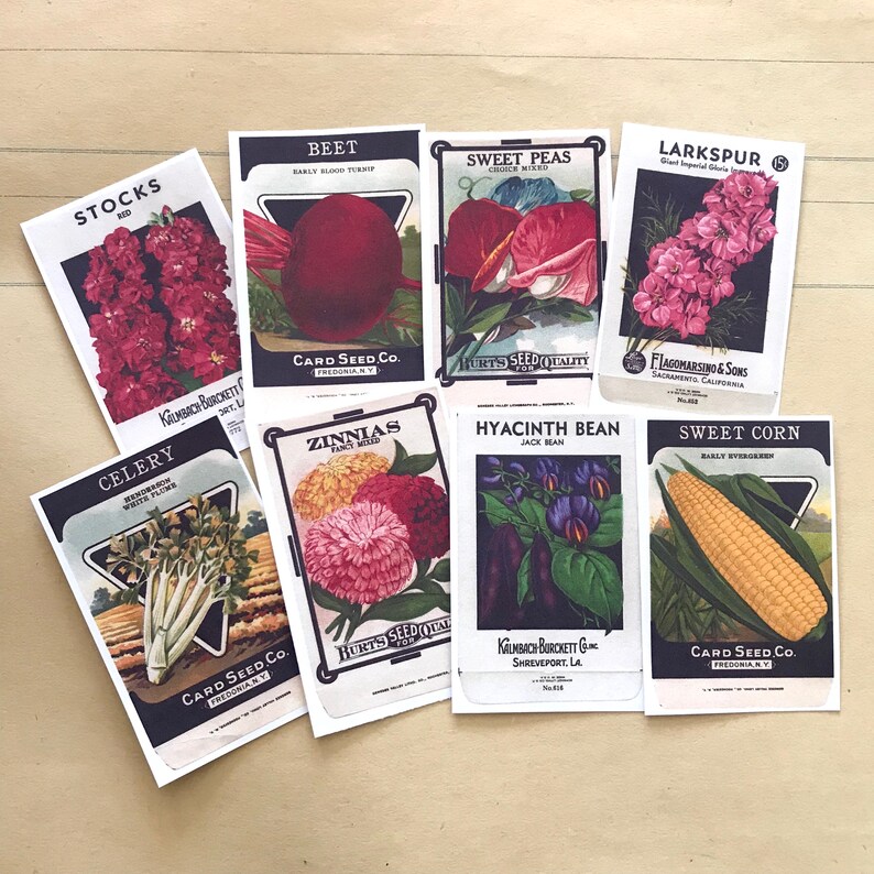 Seed Packet Stickers Set of 24 Handmade Stickers Vintage | Etsy