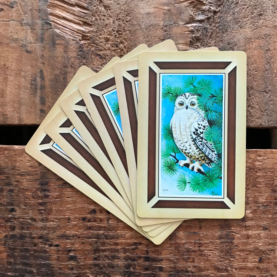 Owl Playing Cards - Set of 6 - Vintage Cards, Vintage Children Cards ...