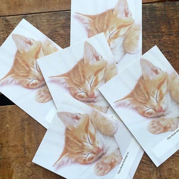 Childrens Bookplates - Etsy