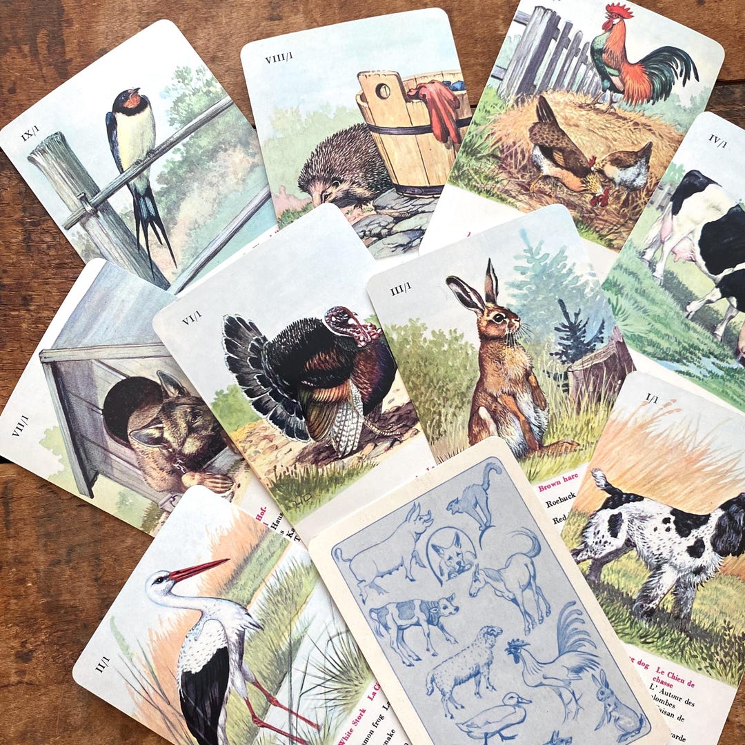Vintage German Animal Quartett Card Sets - Select Option - Junk Journal ...