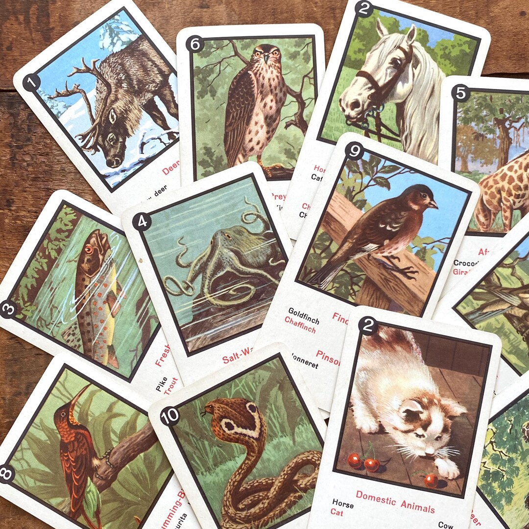 Vintage German Animal Quartett Card Sets - Select Option - Junk Journal ...