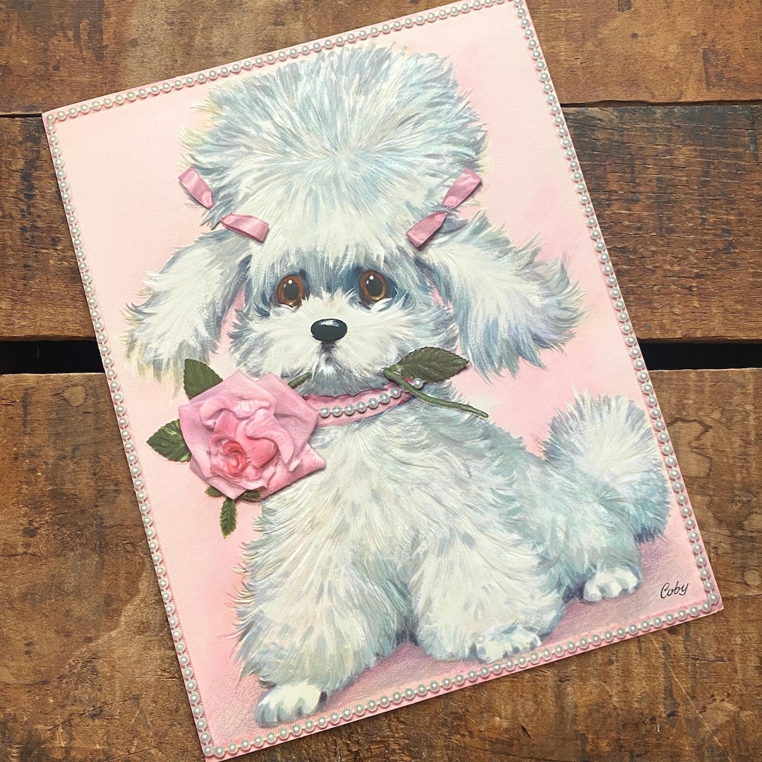 Vintage Unused Coby Get Well Card - Poodle Dog - Paper Ephemera, Junk ...