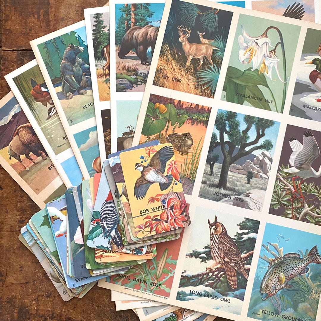 Vintage Wildlife Lotto Game - Complete - 1970s Children's Memory Game ...