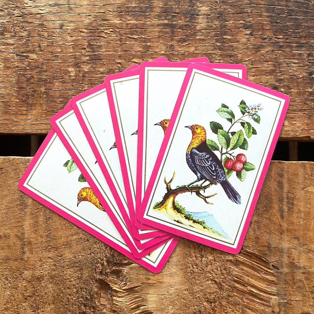 Vintage Bird Playing Cards - Set of 6 - Vintage Cards, Vintage Bird ...