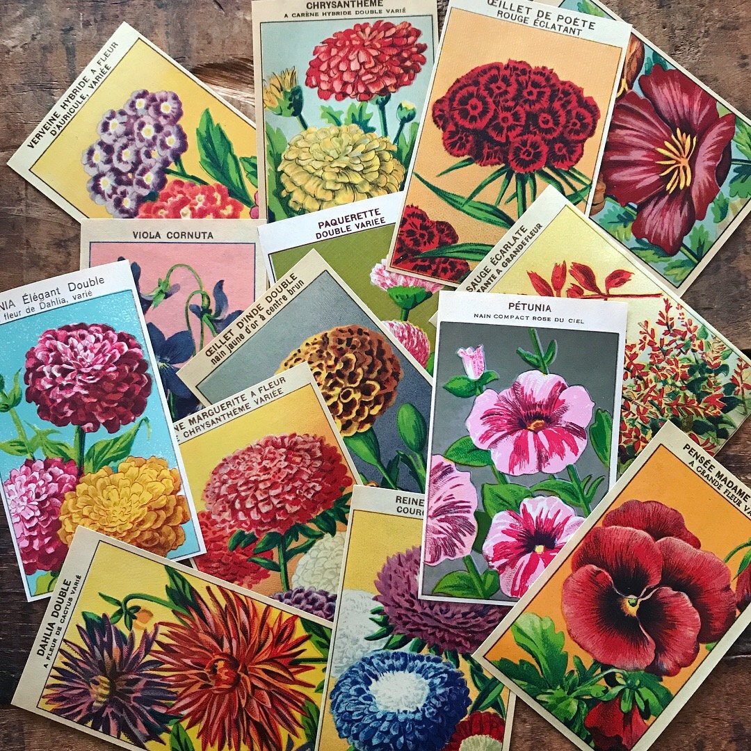 Vintage French Flower Labels - Random Set of 10 - Vintage Labels, NOS ...