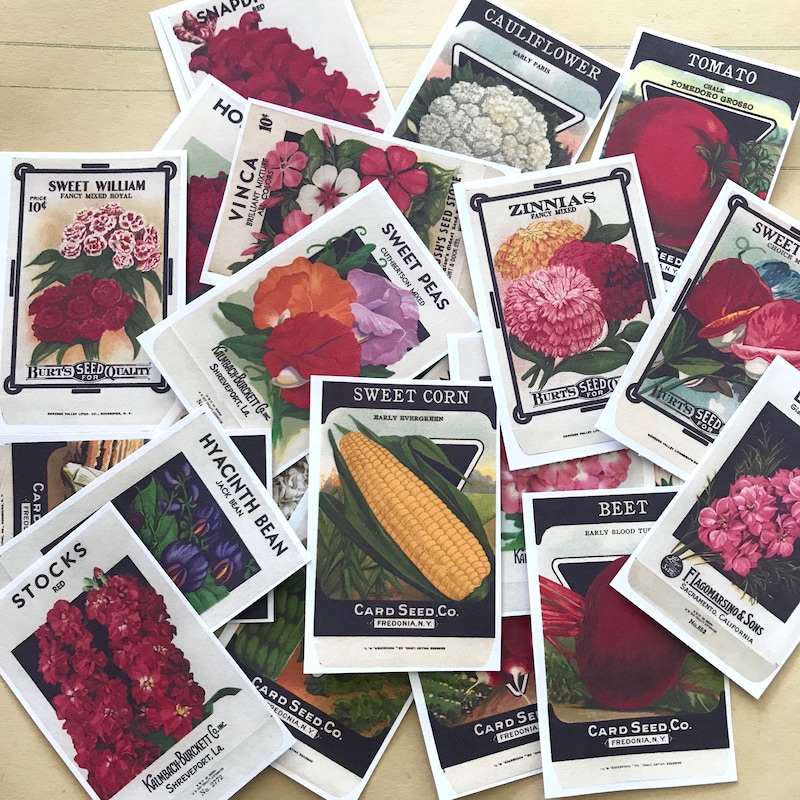 Seed Packet Sticker - Etsy