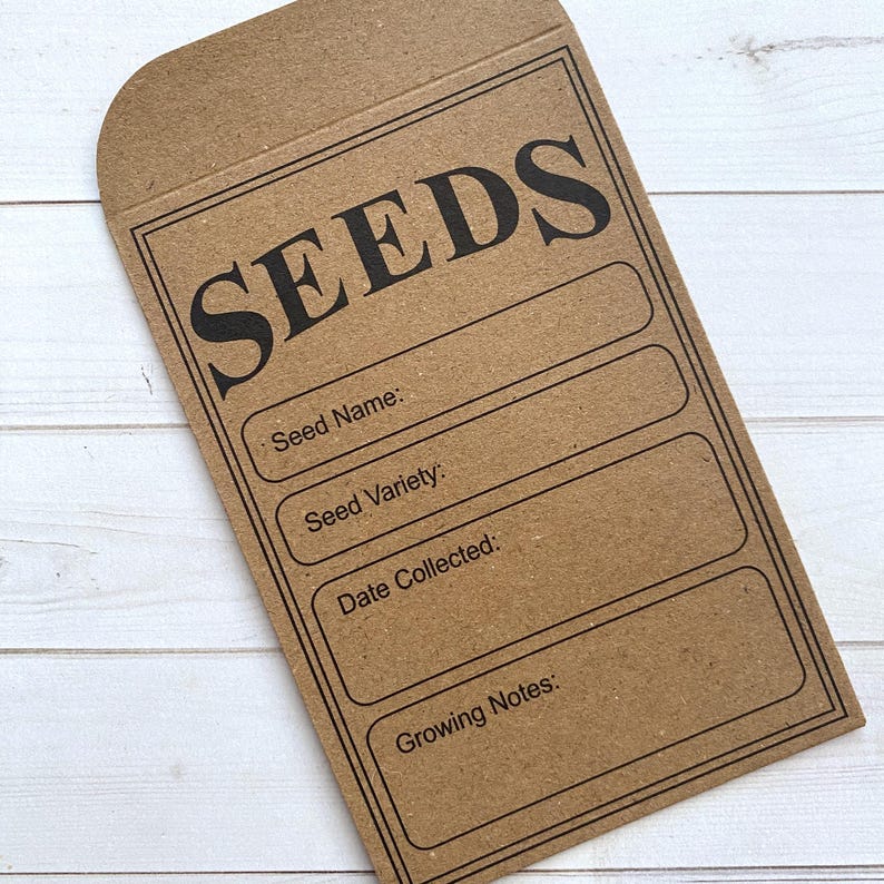 Empty Seed Kraft Envelopes - Set of 10 - Paper Ephemera, Crafting ...