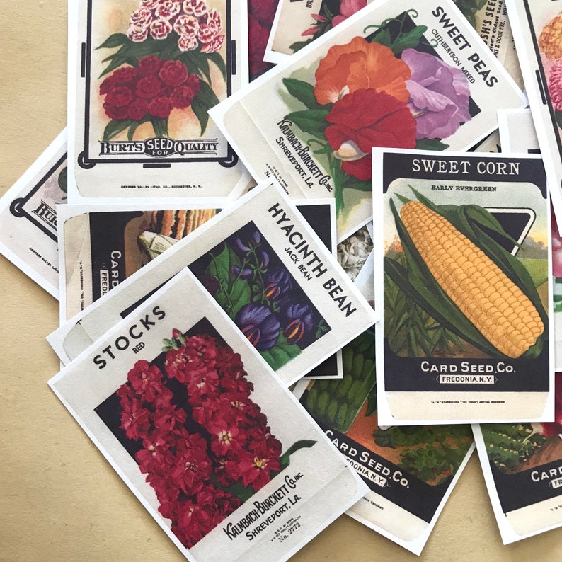 Seed Packet Stickers Set of 24 Handmade Stickers Vintage | Etsy