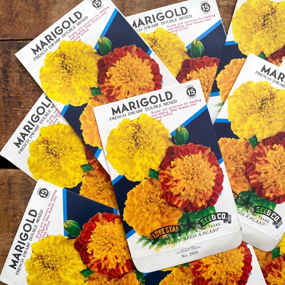 Marigold Seed Packets