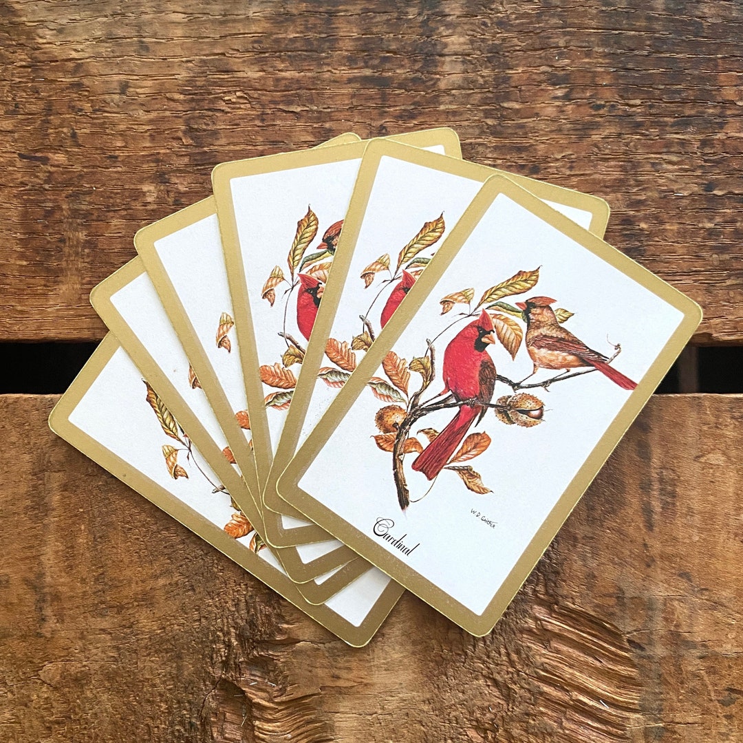 Vintage Bird Playing Cards - Set of 6 - Cardinal Cards, Vintage Bird ...