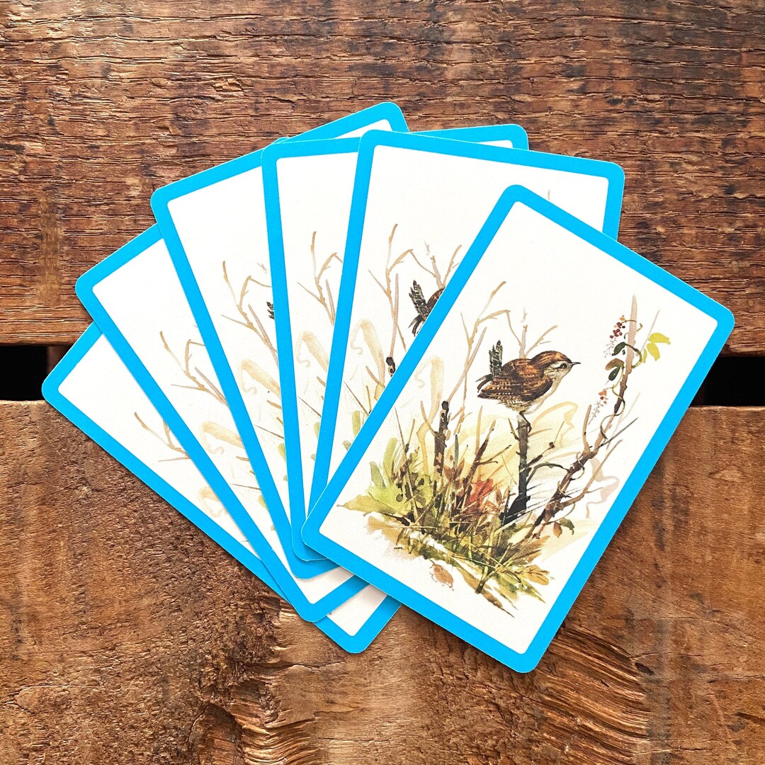 Vintage Audubon Bird in Nature Playing Cards - Set of 6 - Etsy