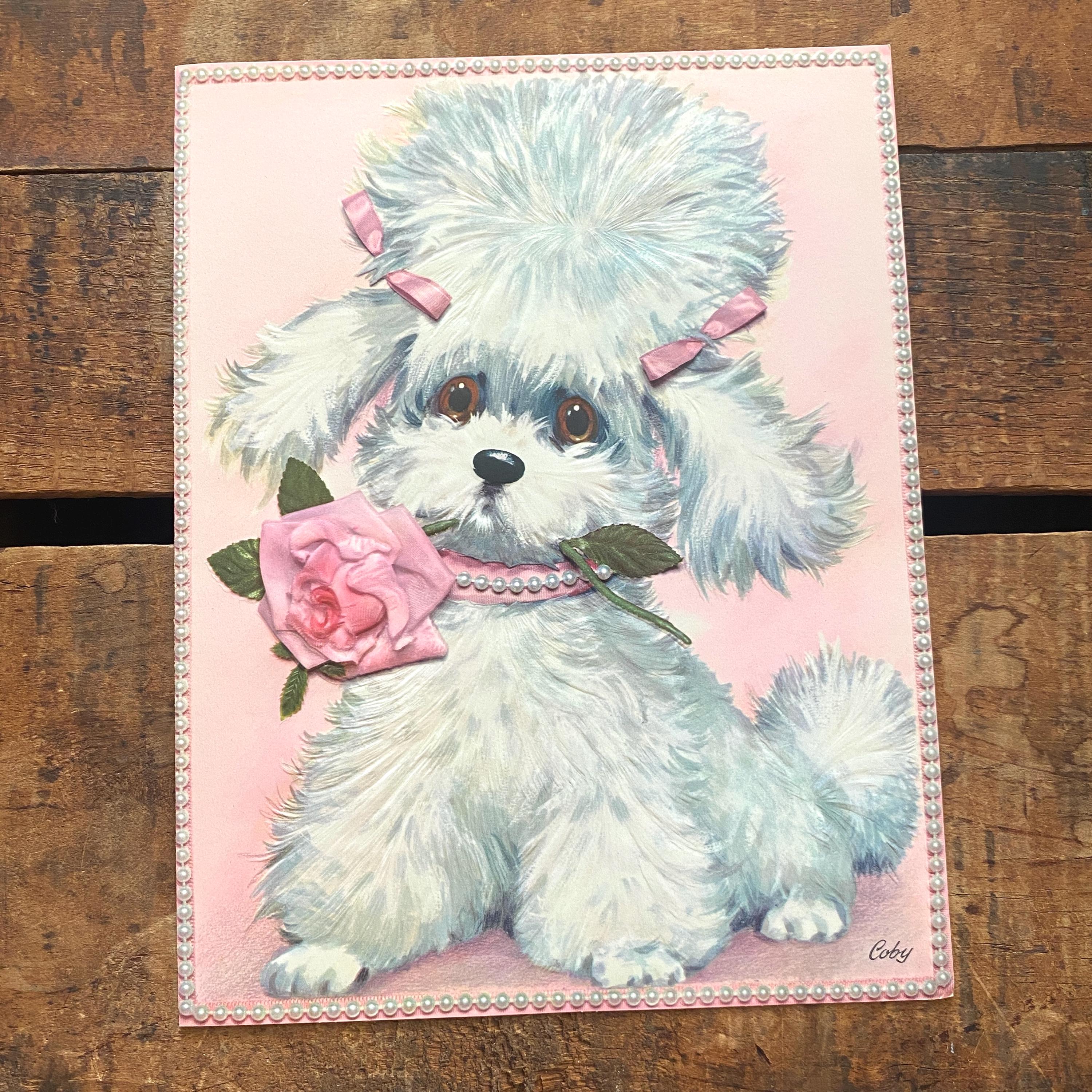 Vintage Unused Coby Get Well Card - Poodle Dog - Paper Ephemera, Junk ...