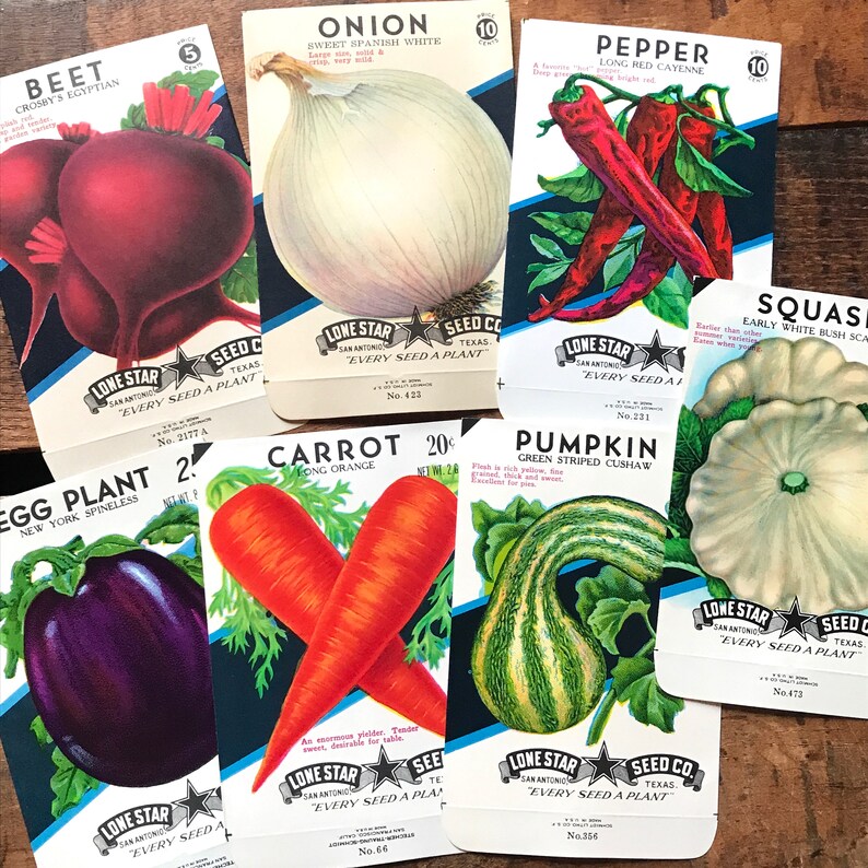 Vintage Vegetable Seed Packets EMPTY Random Set of 5 - Etsy