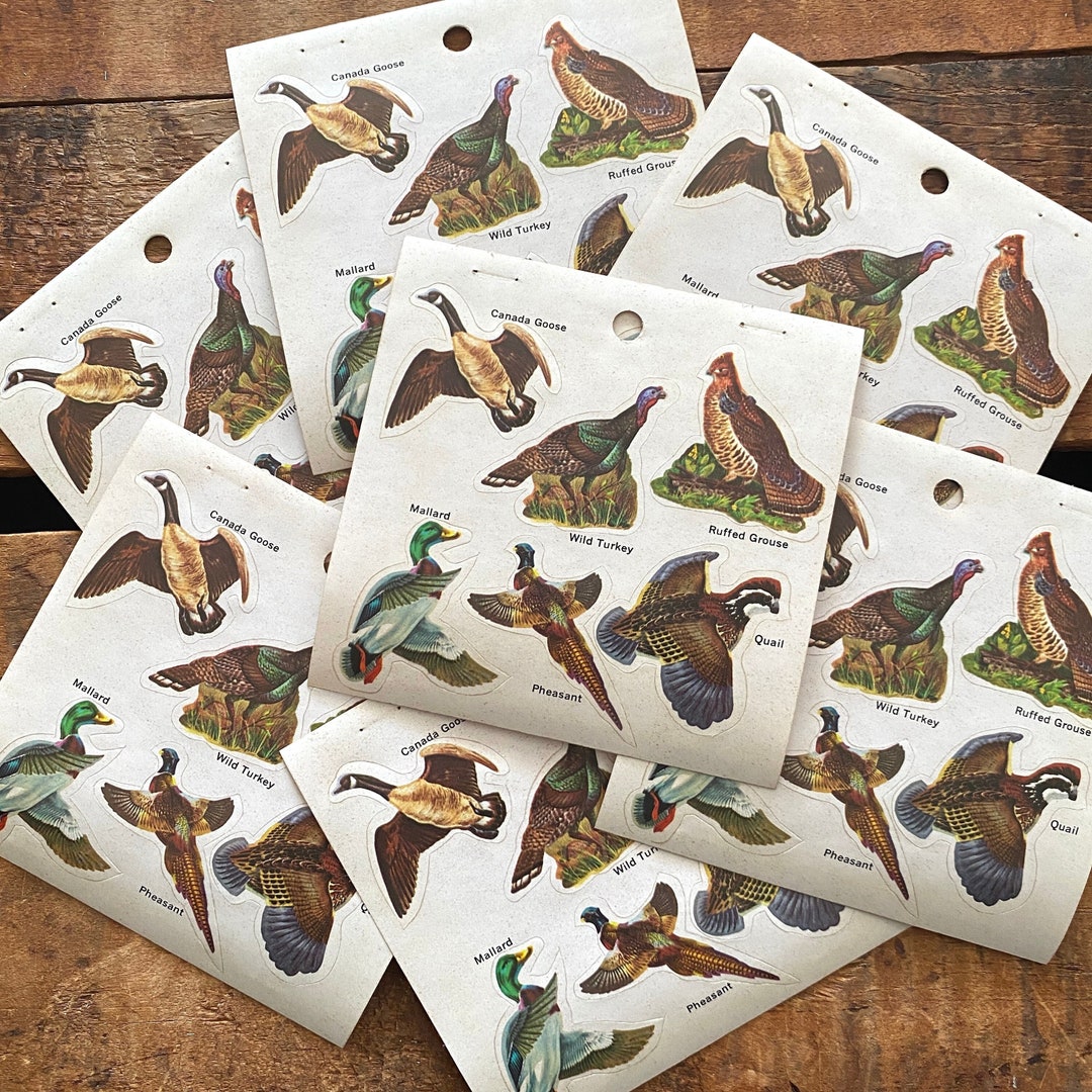 Vintage Game Birds Stickers - 8 Sheets, 48 Stickers - Eureka Presto ...