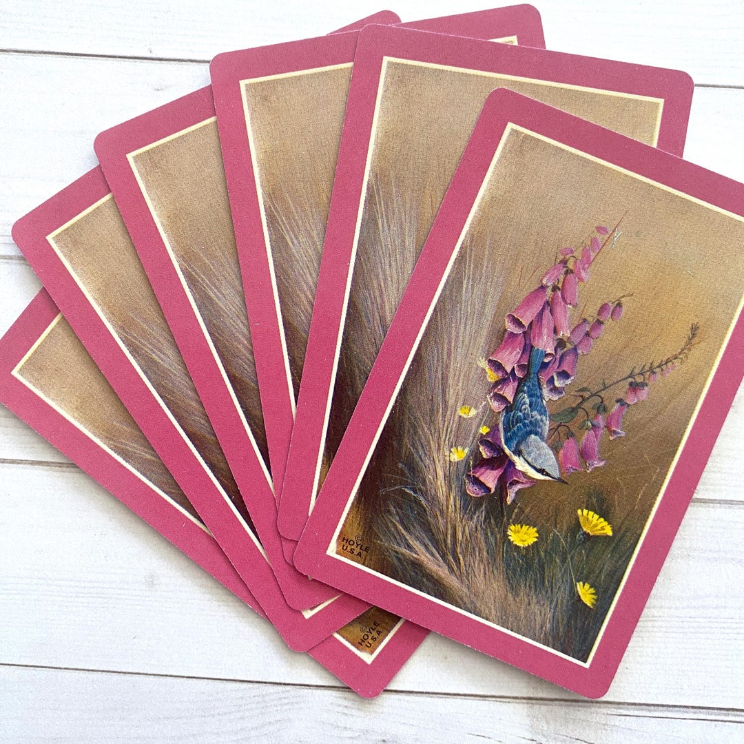 Vintage Audubon Bird in Nature Playing Cards - Set of 6 - Etsy