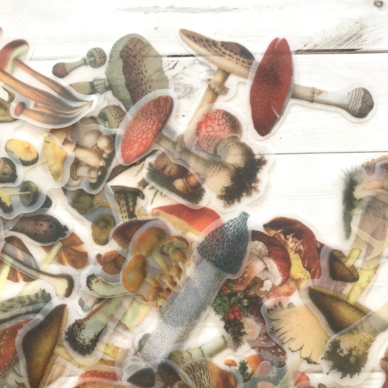 Mushroom Stickers Set of 30 Nature Stickers Junk Journal - Etsy