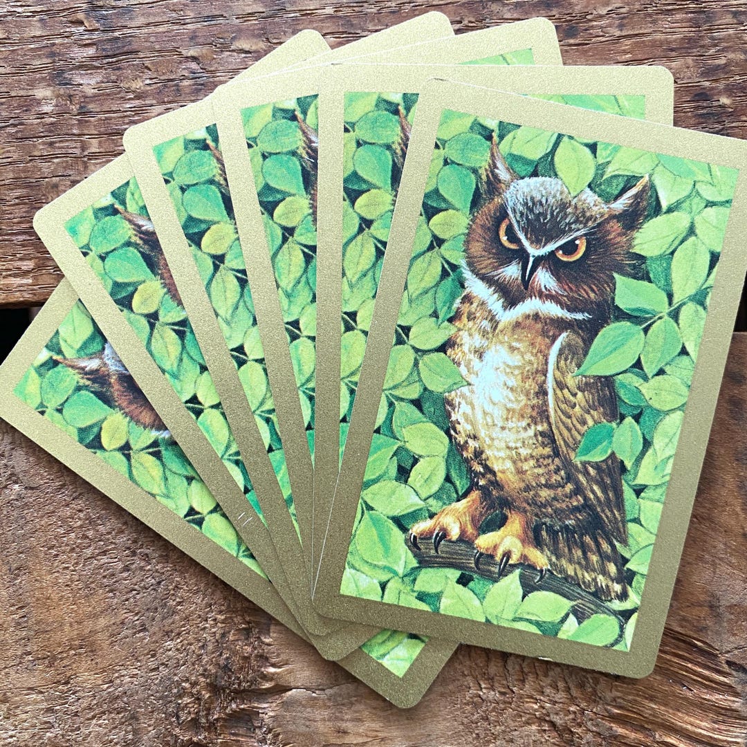 Vintage Brown Owl Playing Cards - Set of 6 - Etsy
