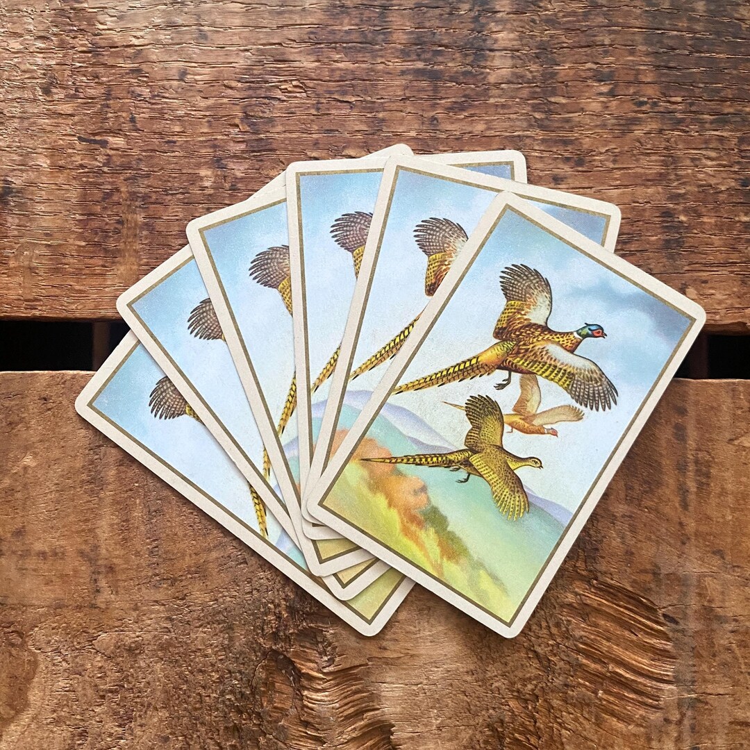 Vintage Bird Playing Cards - Set of 6 - Old Pheasant Cards ...