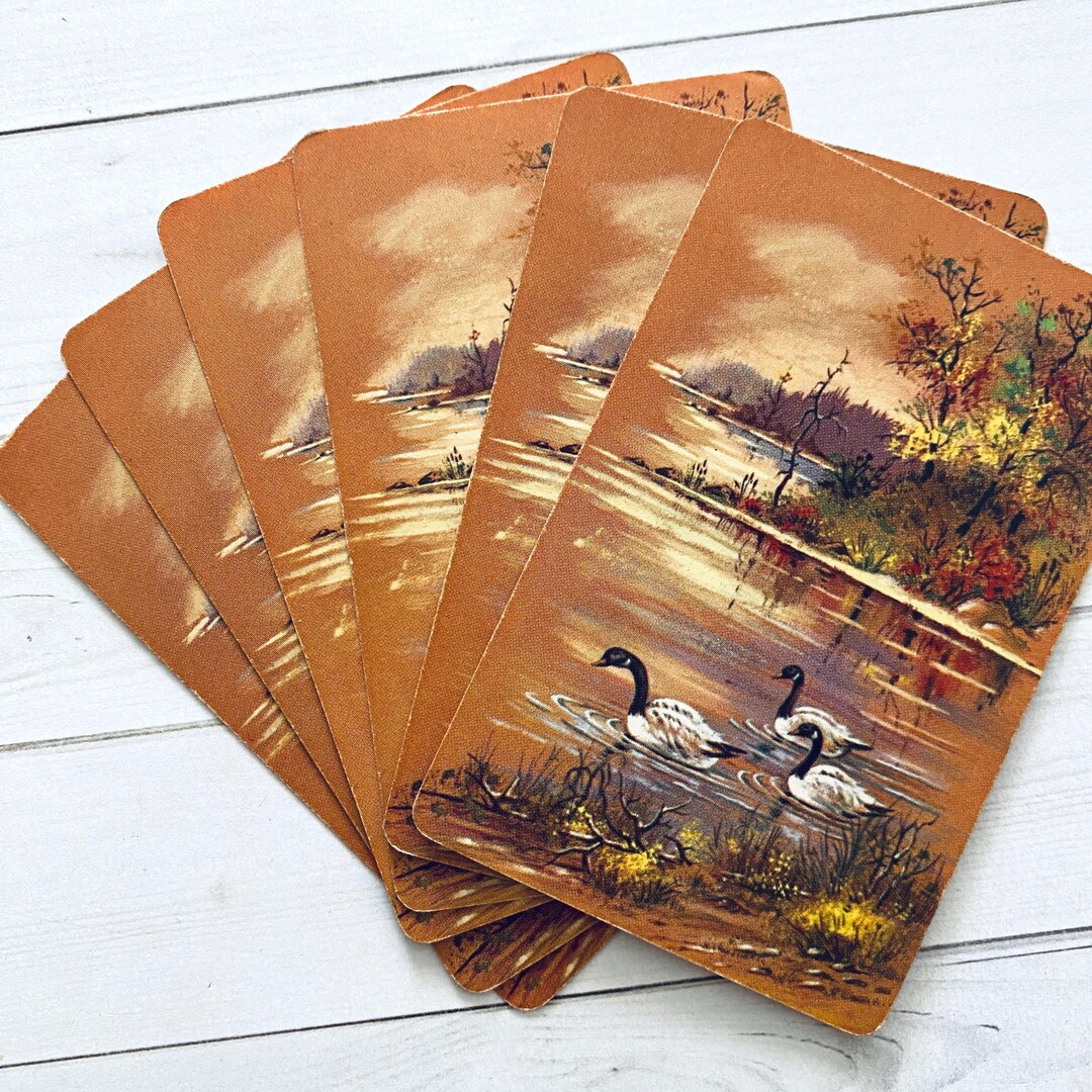 Vintage Geese in Nature Playing Cards - Set of 6 - Etsy