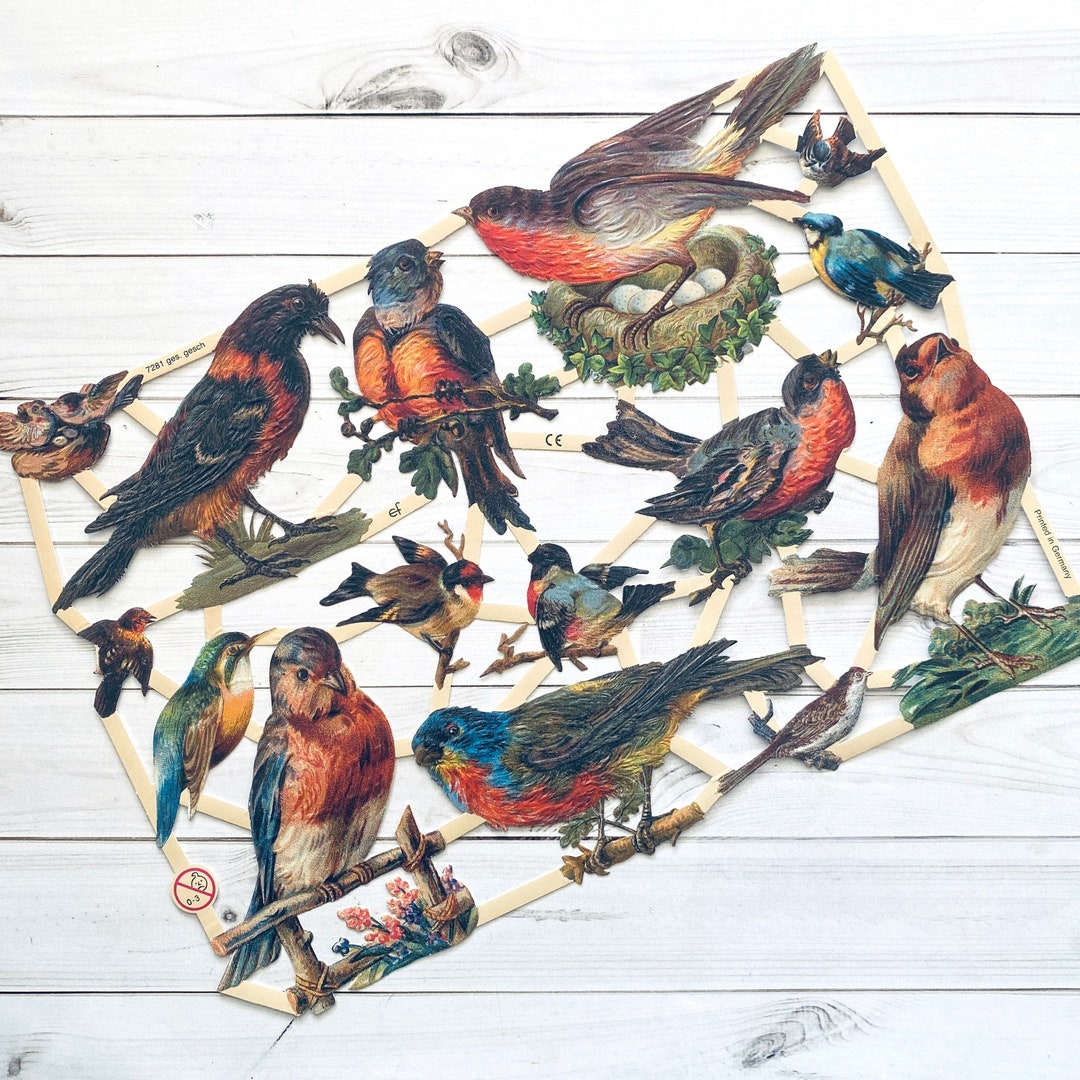 Vintage Style German Scrap Die Cuts: Birds and Nests Ephemera - Etsy