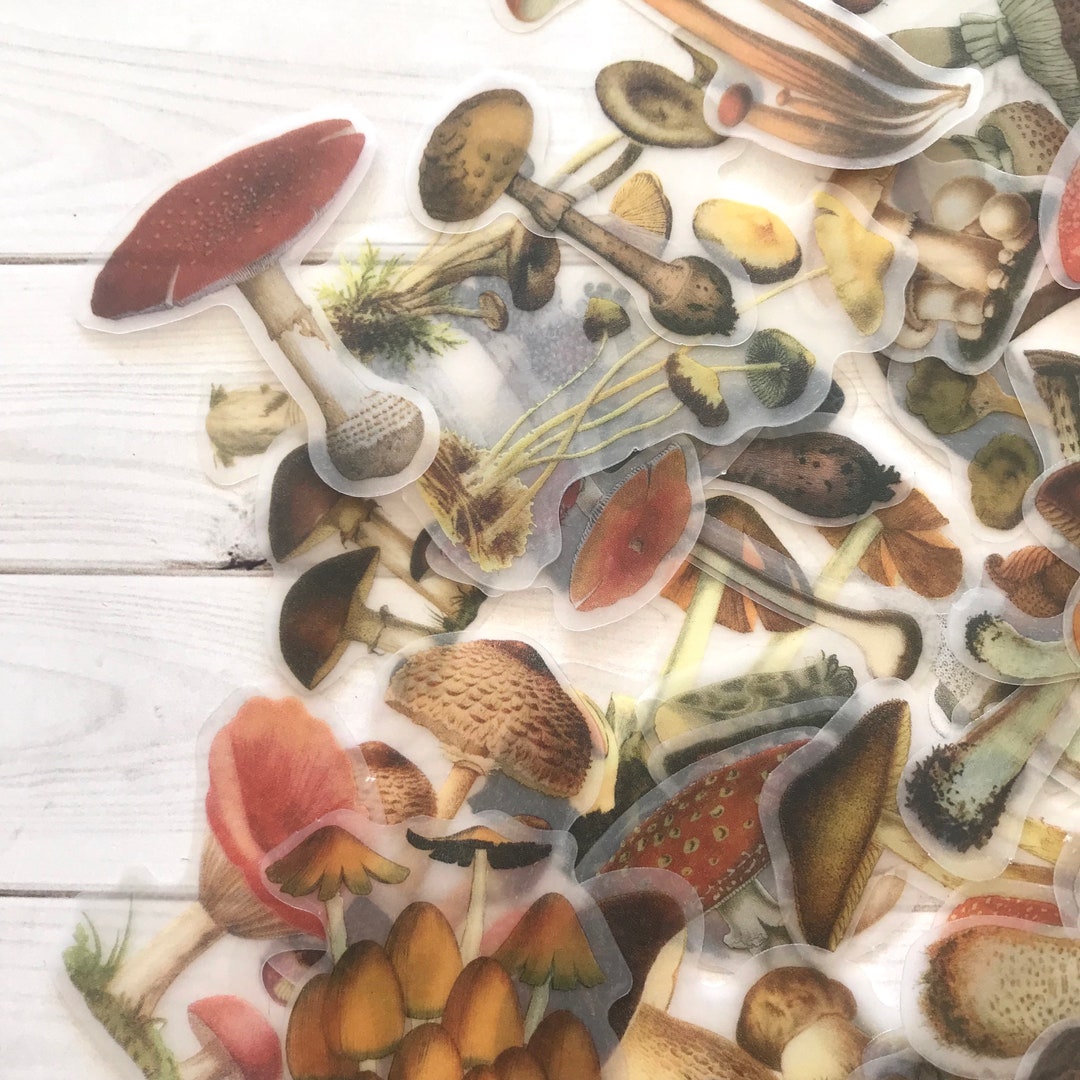 Mushroom Stickers - Set of 30 - Nature Stickers, Junk Journal Paper ...