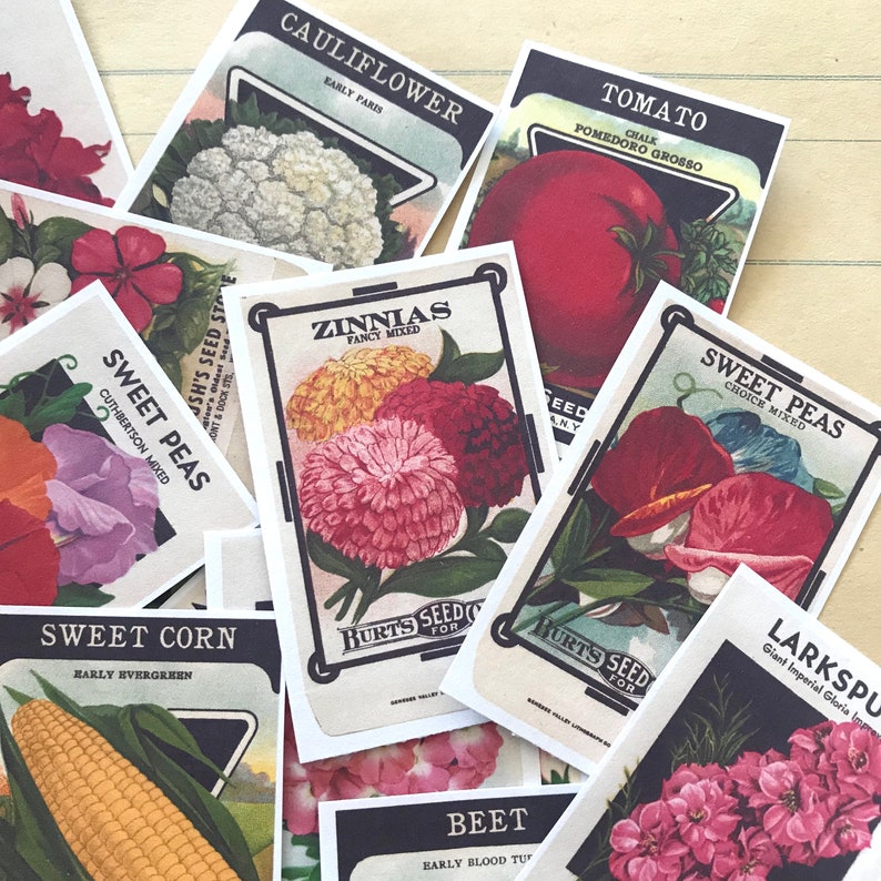 Seed Packet Stickers Set of 24 Handmade Stickers Vintage | Etsy